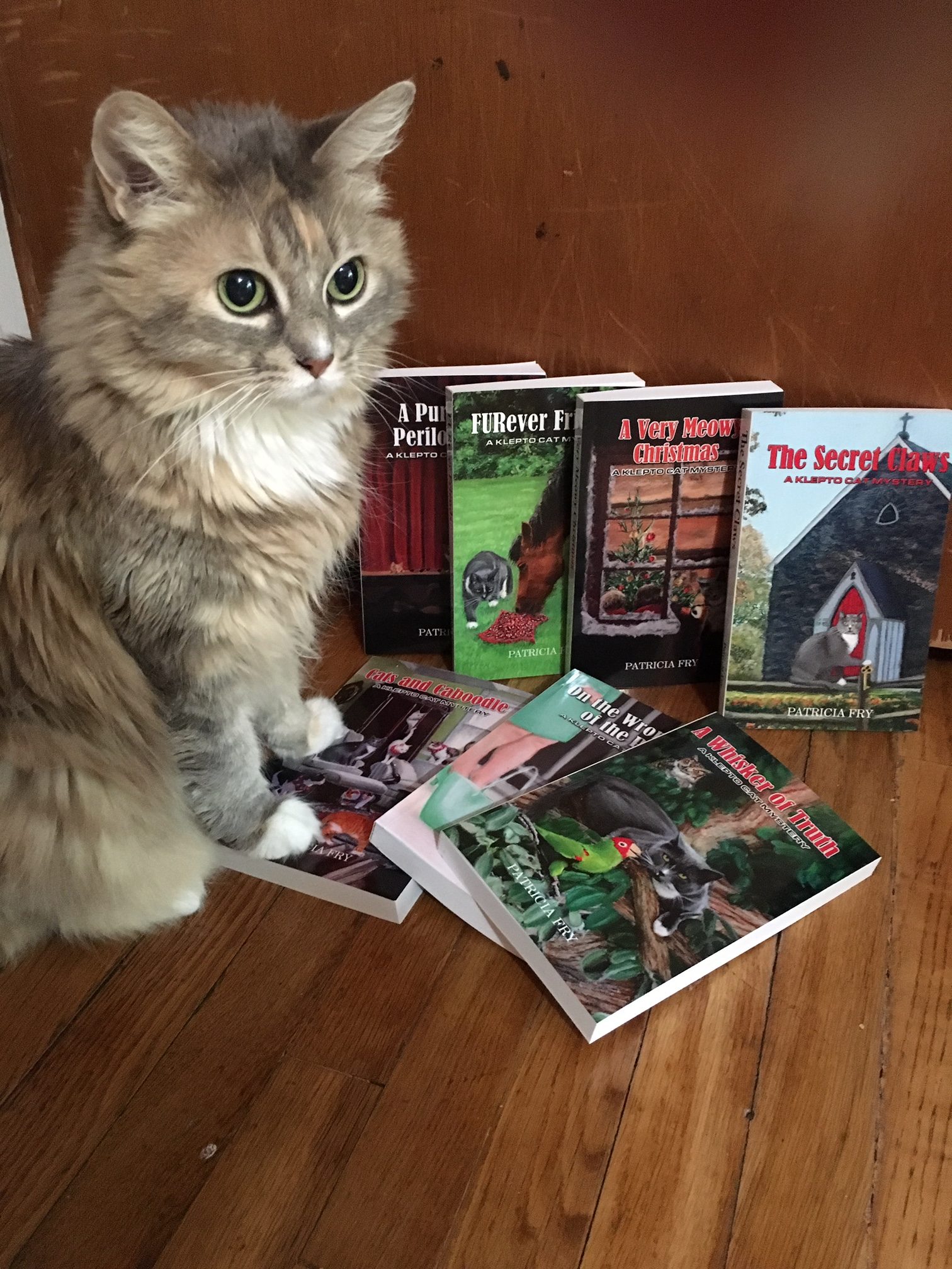 Paws Up for Wednesday – What’s New in Cat Books? | Catscapades