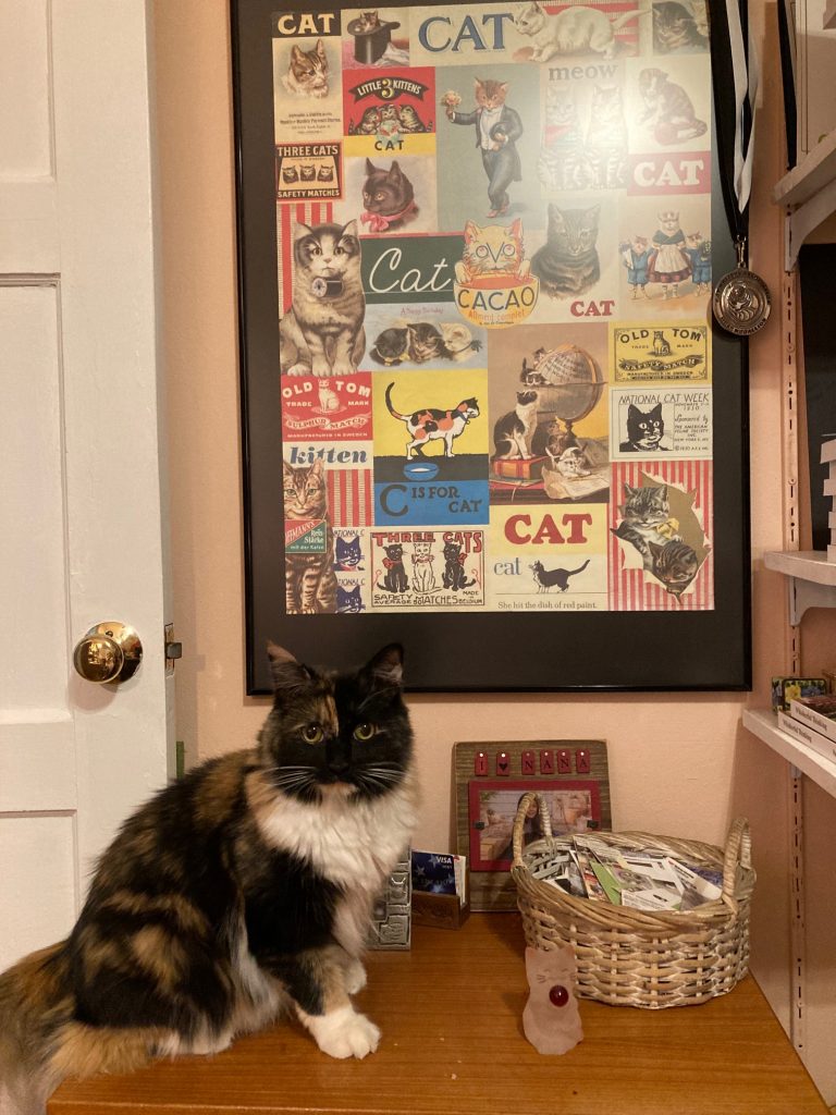 Frivolous Friday – Growing Ideas | Catscapades