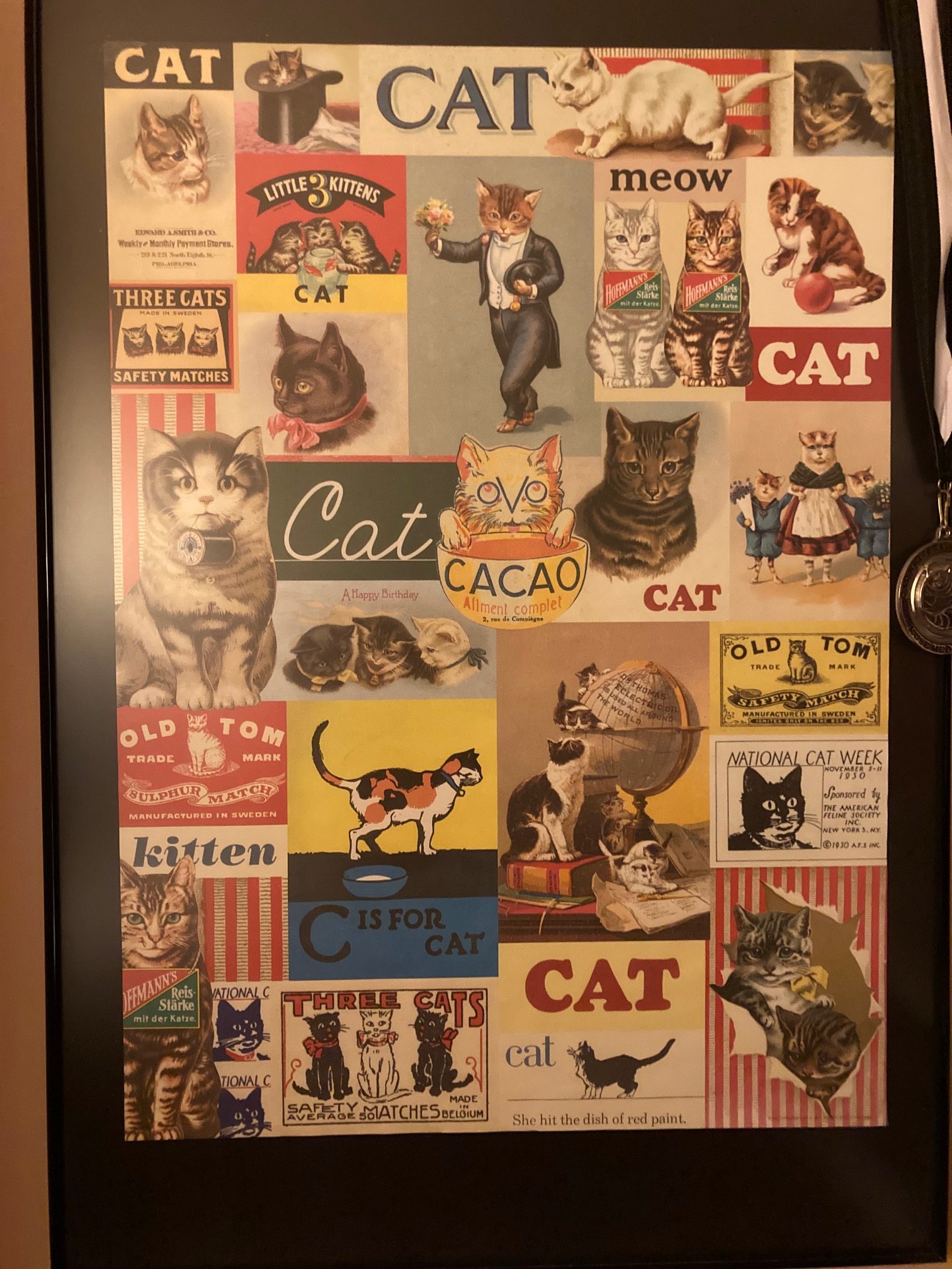 Newsday Tuesday – Cats in Advertising | Catscapades